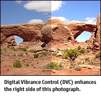 Digital Vibrance Control enhances the right side of this photograph.