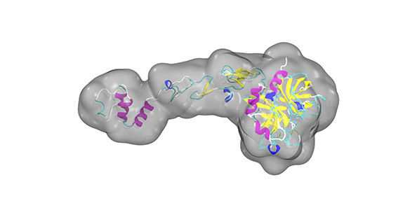 Amber Hardware & Software Configurations | NVIDIA Data Center