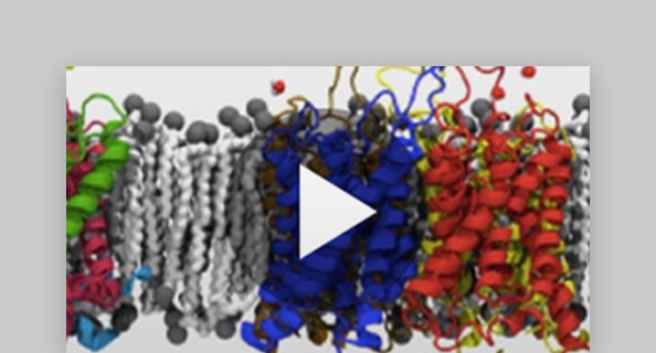 NAMD Hardware & Software Configurations | NVIDIA Data Center