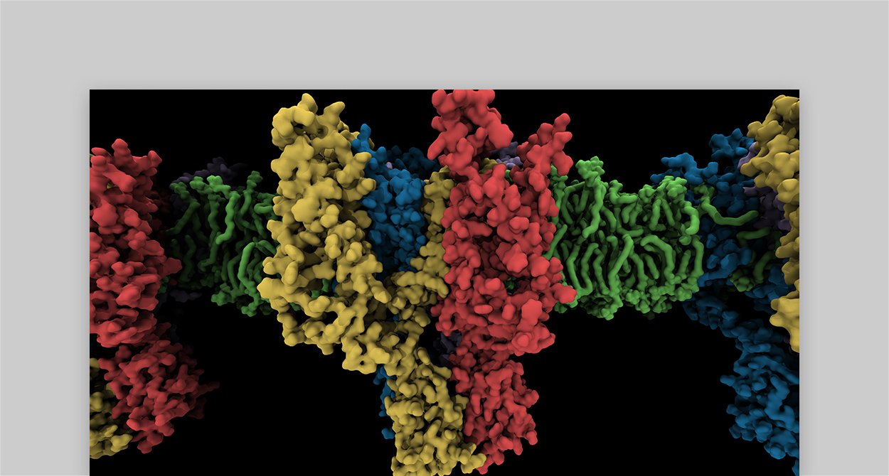GROMACS Molecular Dynamics & GPU Acceleration | NVIDIA Data Center