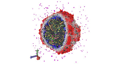 NAMD Hardware & Software Configurations | NVIDIA Data Center