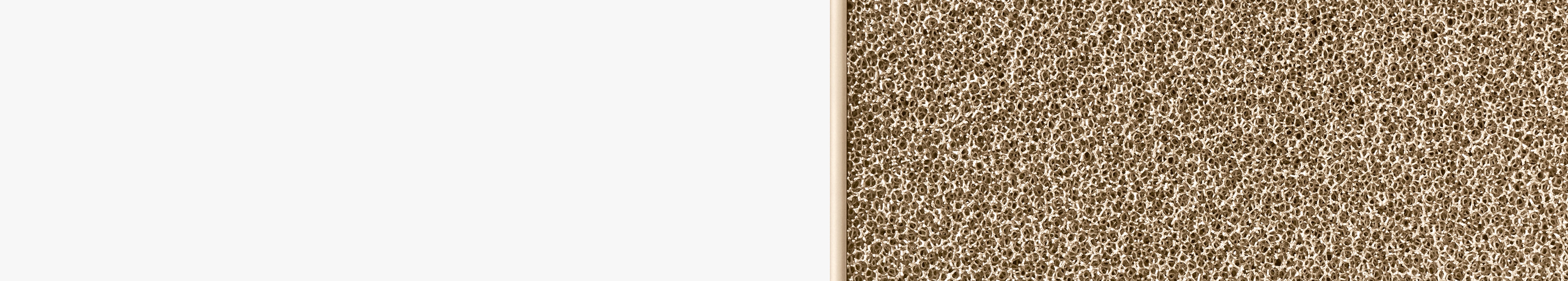 DGX 平台：專為企業級人工智慧打造 | NVIDIA