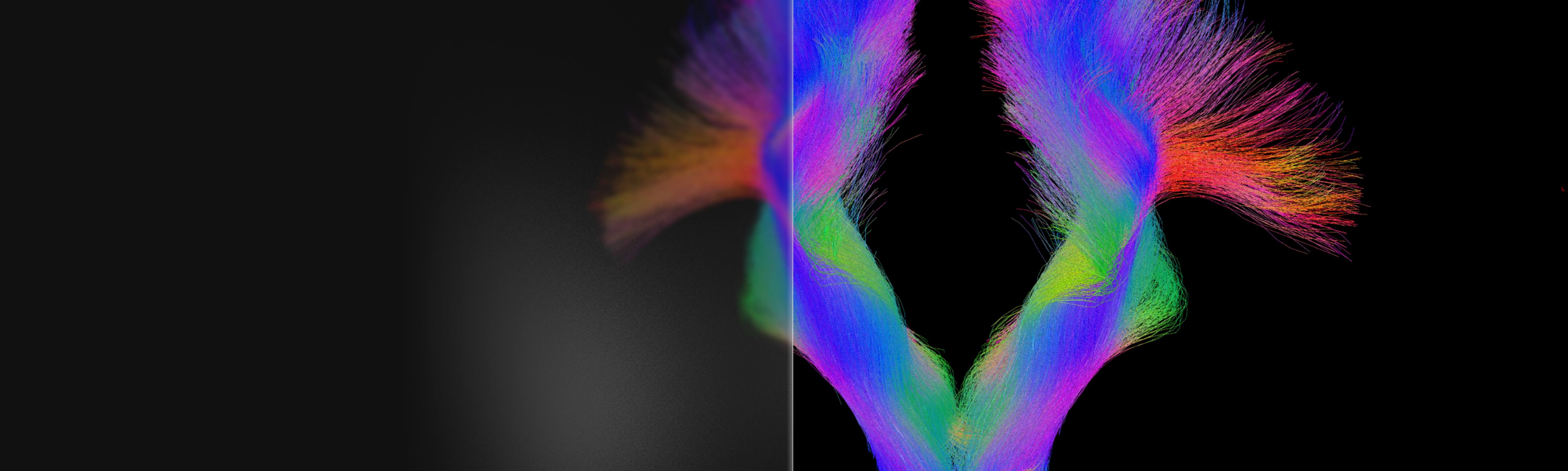 United Imaging Healthcare | Case Study | NVIDIA