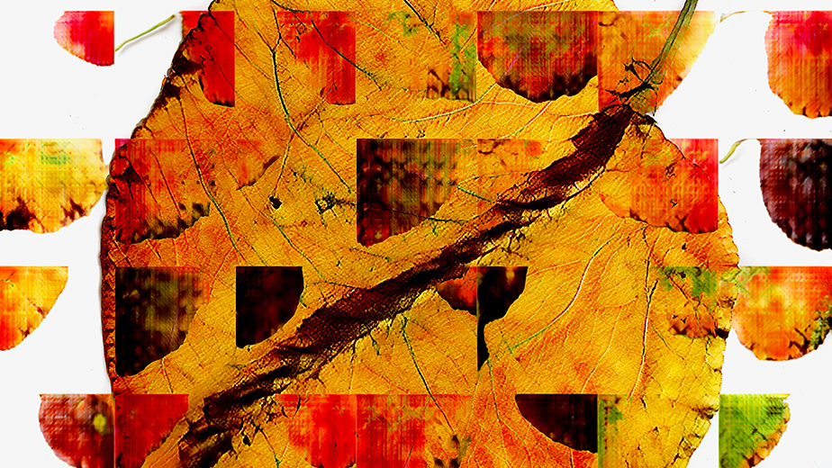 Helena Sarin at the AI Art Gallery | NVIDIA