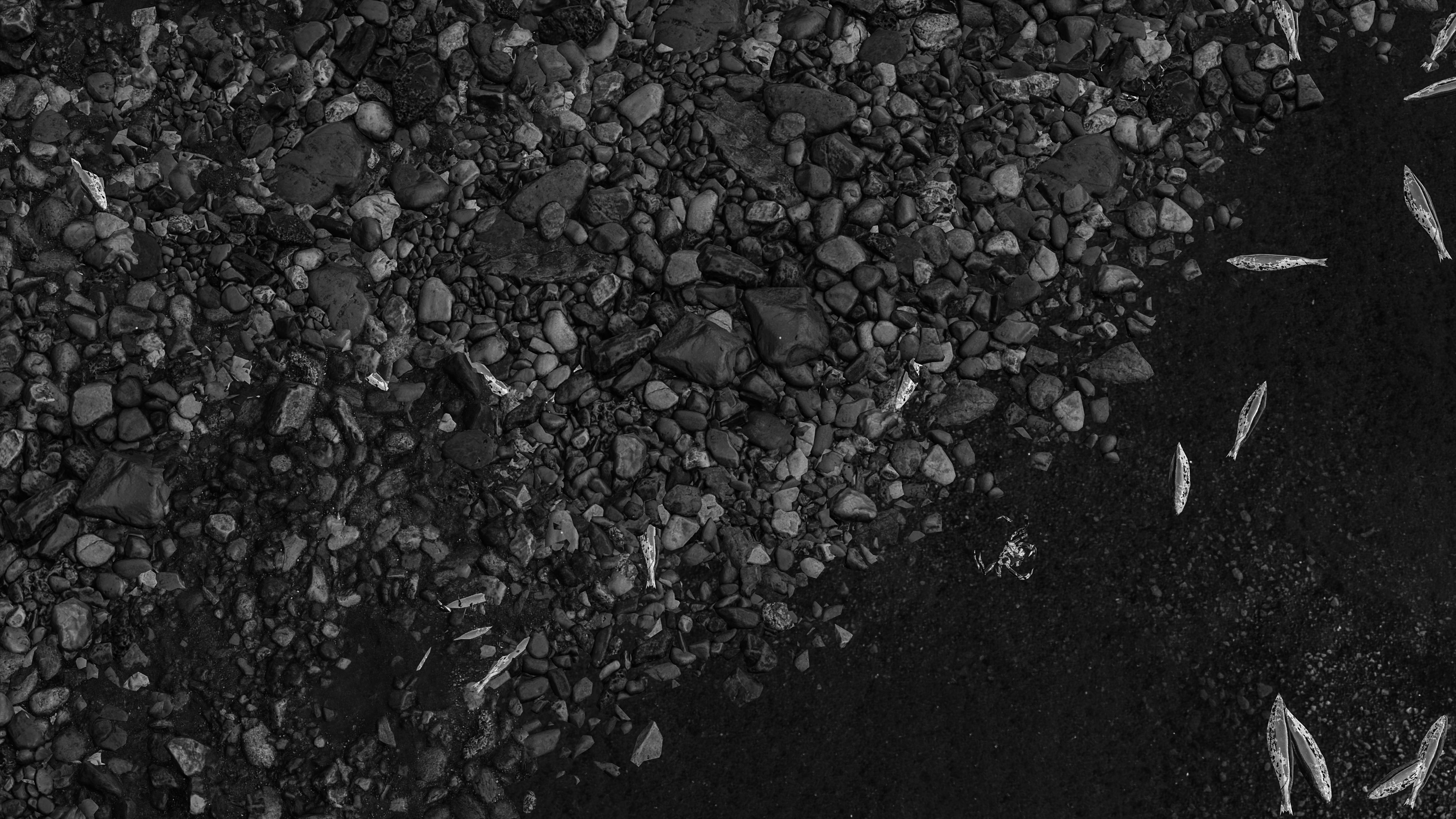 DEATH STRANDING para PC: Los Fotógrafos Virtuales y Artistas Digitales ...