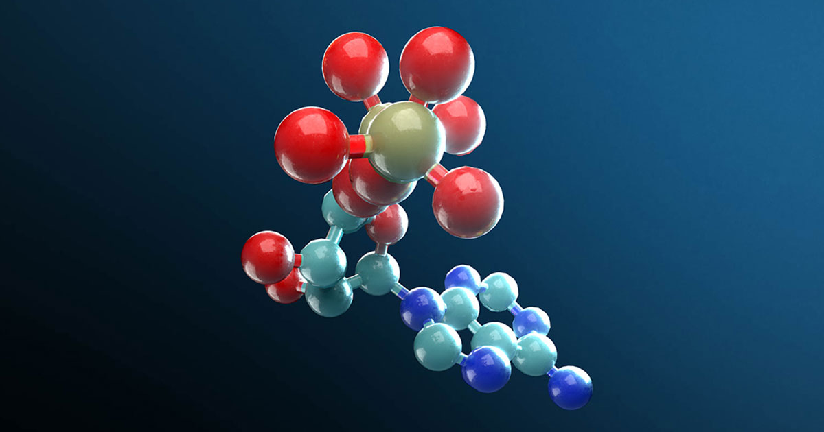 What is Small Molecule Hit Identification (Hit ID) ? | NVIDIA Glossary