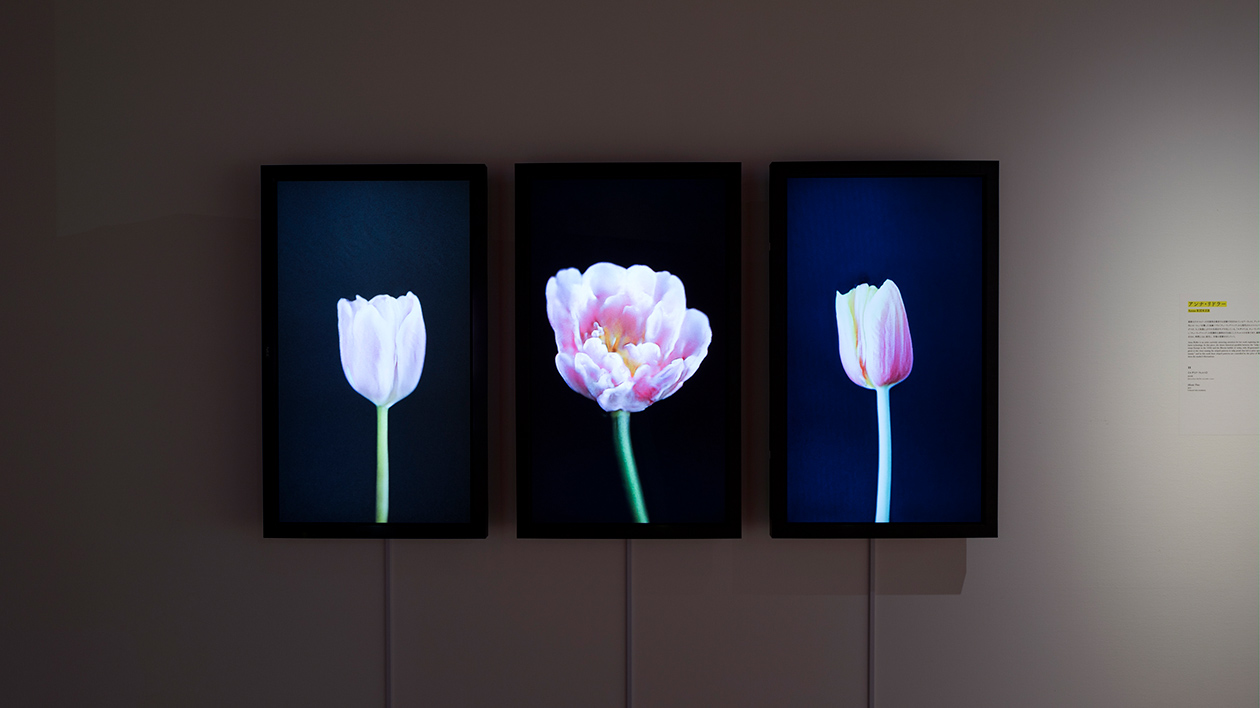 Anna Ridler at the AI Art Gallery | NVIDIA