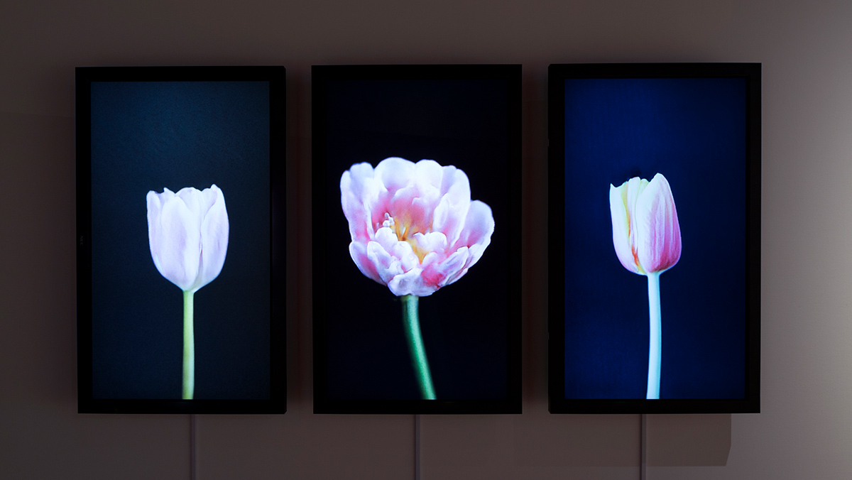 Anna Ridler at the AI Art Gallery at GTC 2021 | NVIDIA