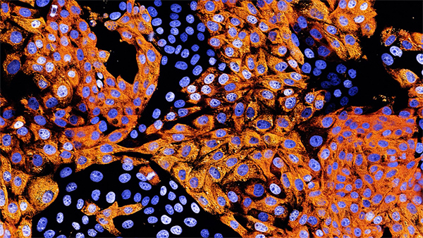 On-Demand Technical Demos at GTC 2022 | NVIDIA