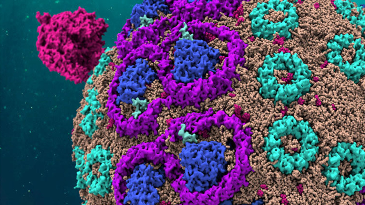 Drug Discovery With Accelerated Computing Platform | NVIDIA