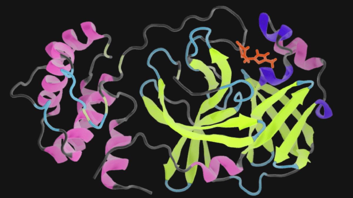 Drug Discovery With Accelerated Computing Platform | NVIDIA