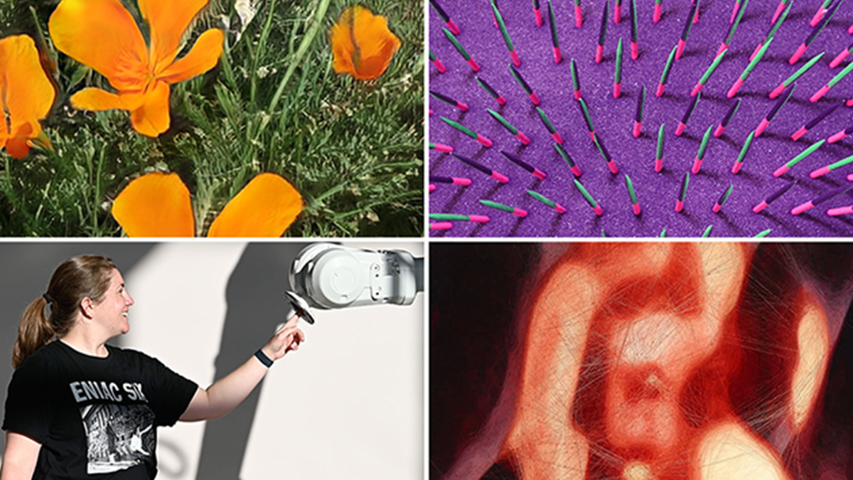 The AI Playground | NVIDIA Research