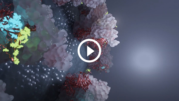 Scientific Visualization in Omniverse | NVIDIA