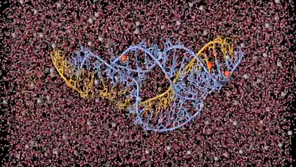 High Performance Computing Hpc And Ai Nvidia