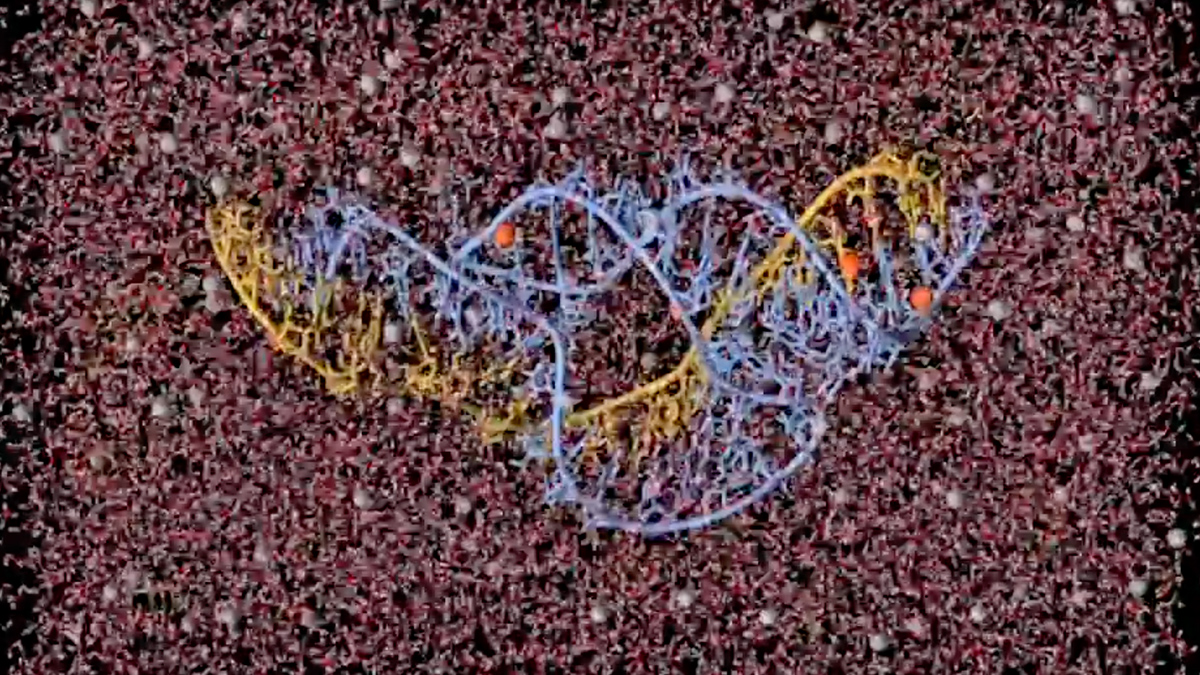 High Performance Computing (HPC) and AI | NVIDIA