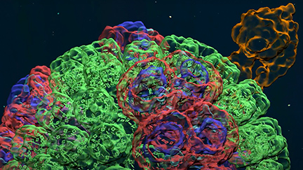 GPU-Powered Scientific Visualization | NVIDIA