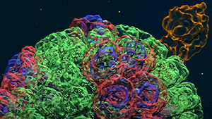 GPU-Powered Scientific Visualization | NVIDIA