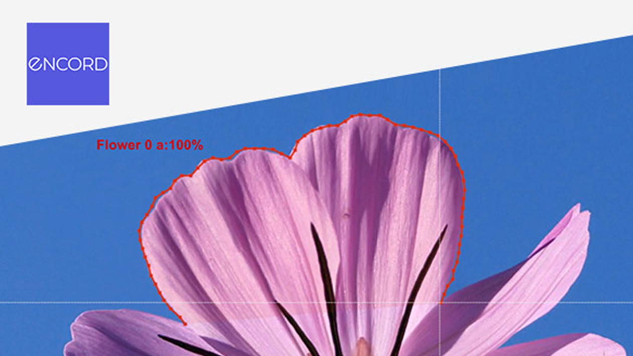 Finance Solutions from Partners & ISVs | NVIDIA