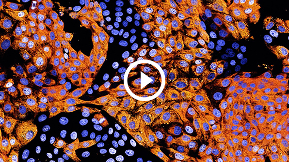 AI-Powered Medical Devices | NVIDIA