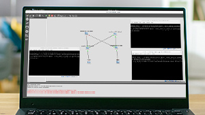 Network Virtualization for Ethernet Switching | NVIDIA