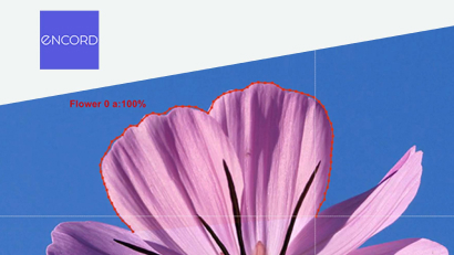 Inception Program for Startups | NVIDIA