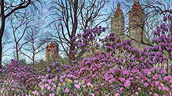 Deep Learning Books and Reading Lists | NVIDIA