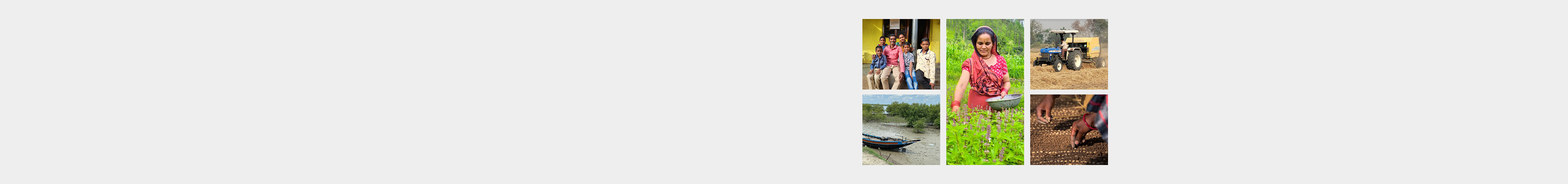 Discover Our Impact | NVIDIA CSR in India