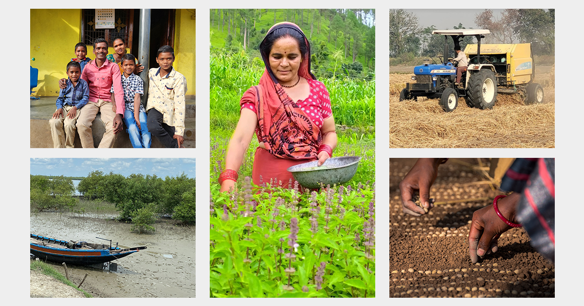 Discover Our Impact | NVIDIA CSR in India