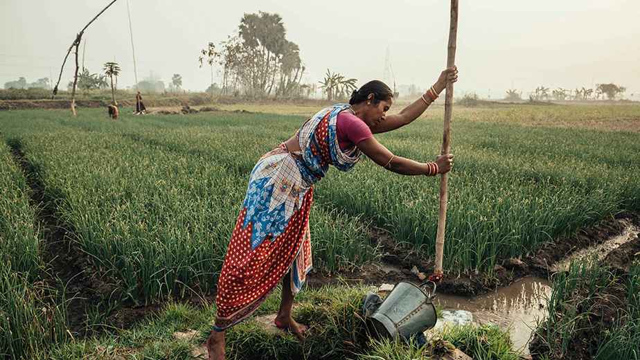 Discover Our Impact | NVIDIA CSR in India