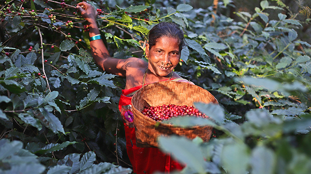 Discover Our Impact | NVIDIA CSR in India