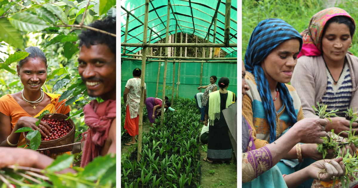 Discover Our Impact | NVIDIA CSR in India