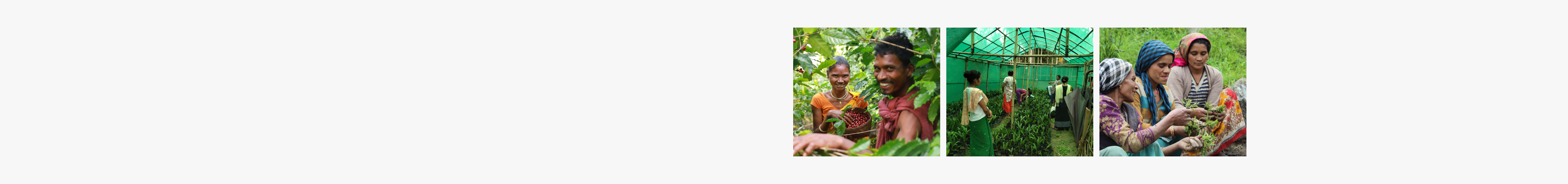 Discover Our Impact | NVIDIA CSR in India