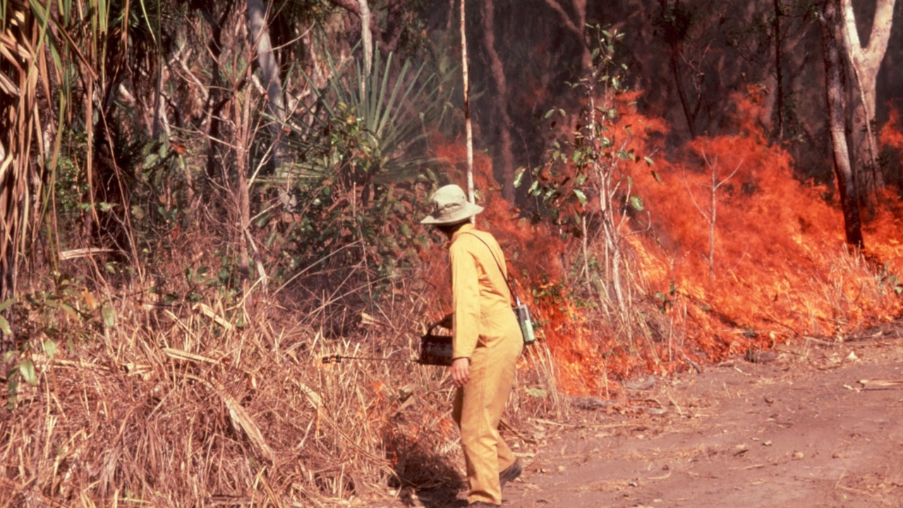 CSIRO Accelerates Australia’s AI Progress With NVIDIA Technology | NVIDIA