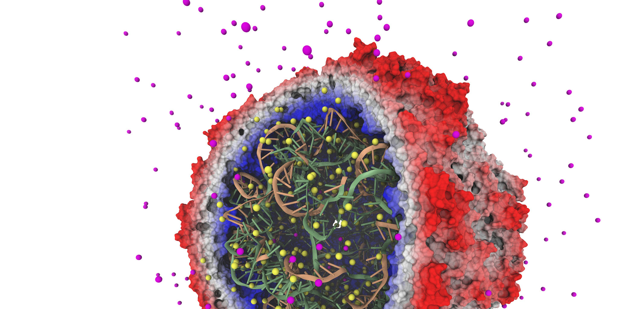 GPU-Accelerated VMD | NVIDIA Data Center