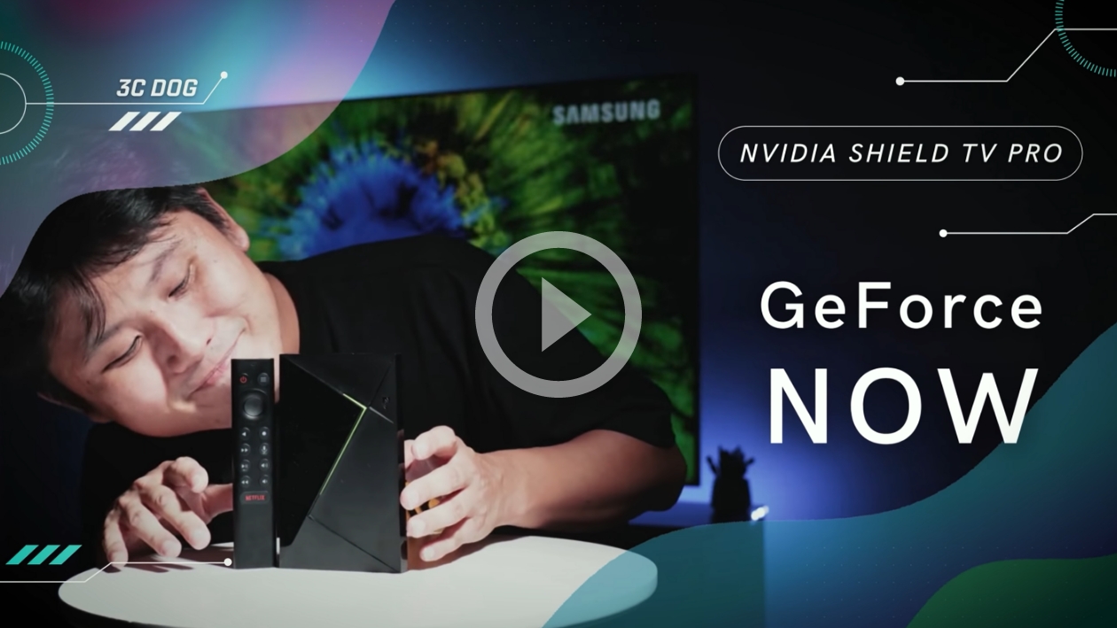 Shield TV Pro Happy Anniversary