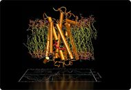 NVIDIA Tesla C1060 1.30Ghz 4GB 512-bit GDDR3 240-cores GPU Card